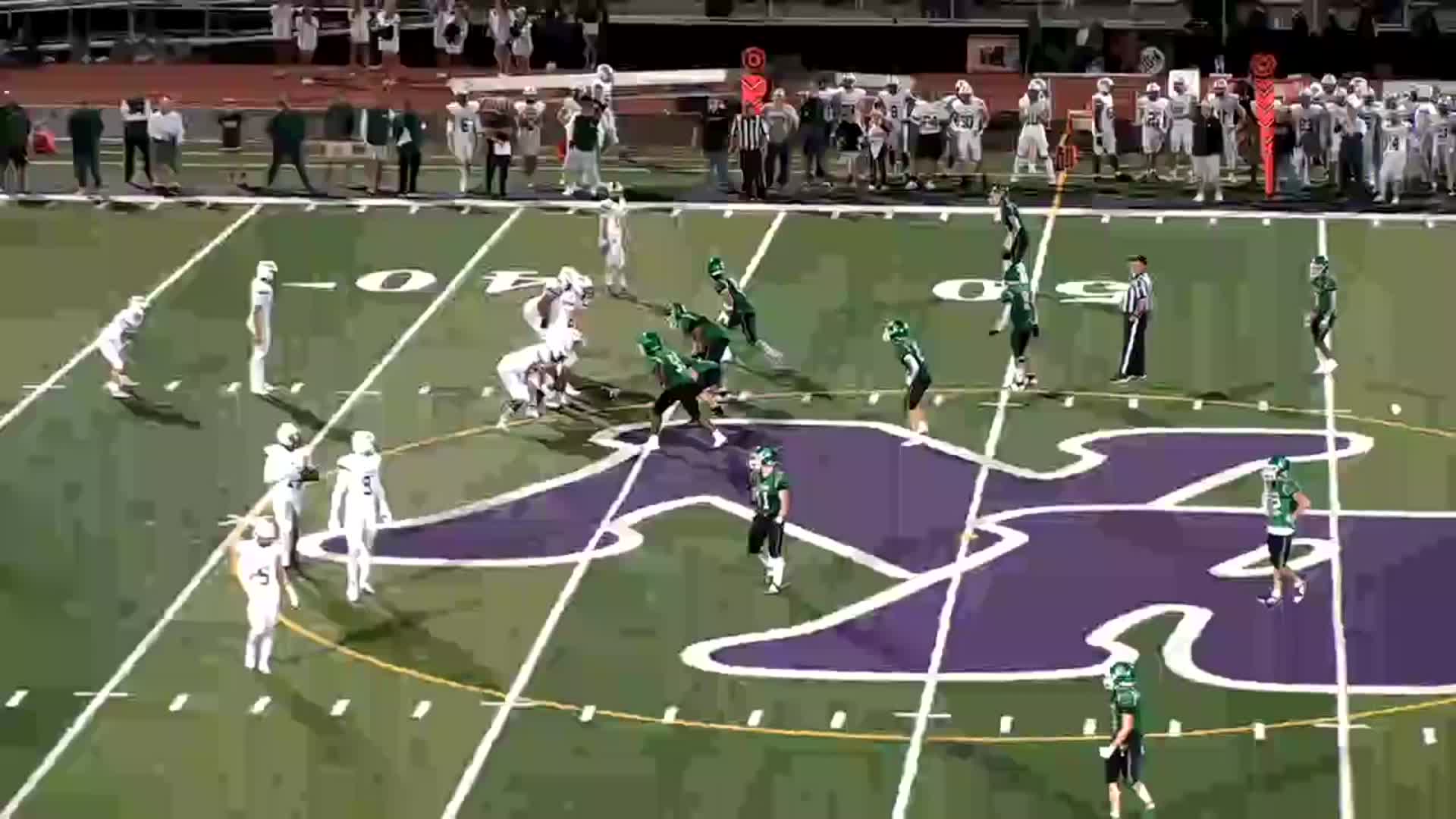 Ace Peterlin Senior Season WR/DB - Ace Peterlin highlights - Hudl