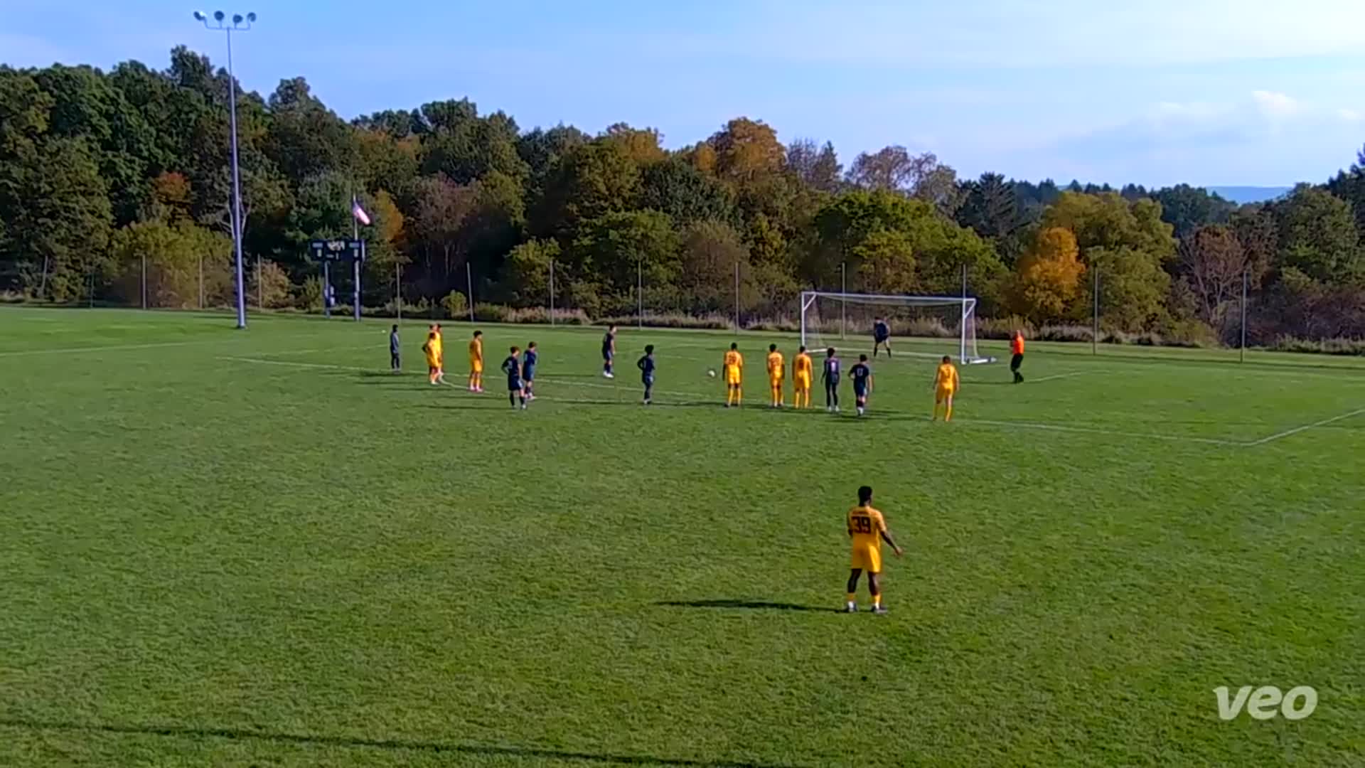 Elmira College - Ermir Hoti highlights - Hudl