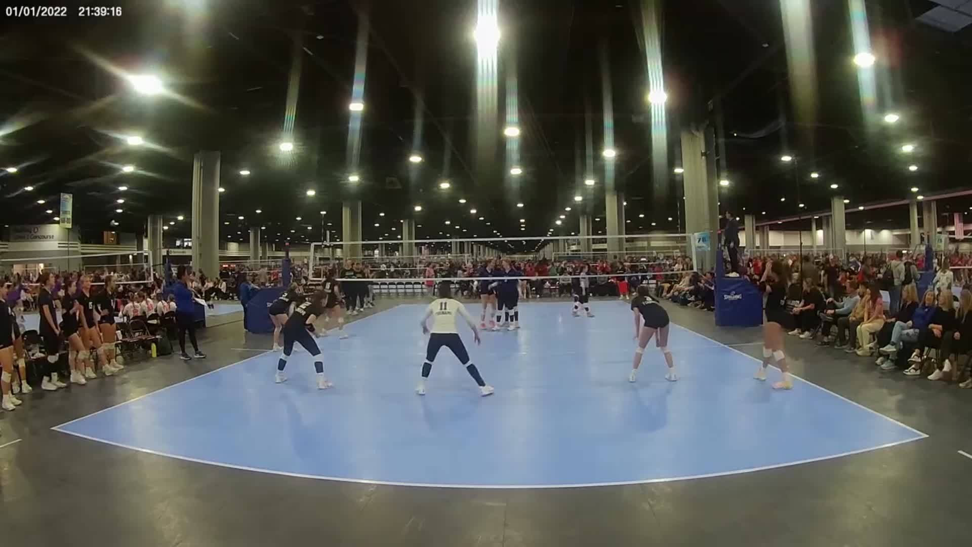 AJV Royal - Marisol Stevenson highlights - Hudl