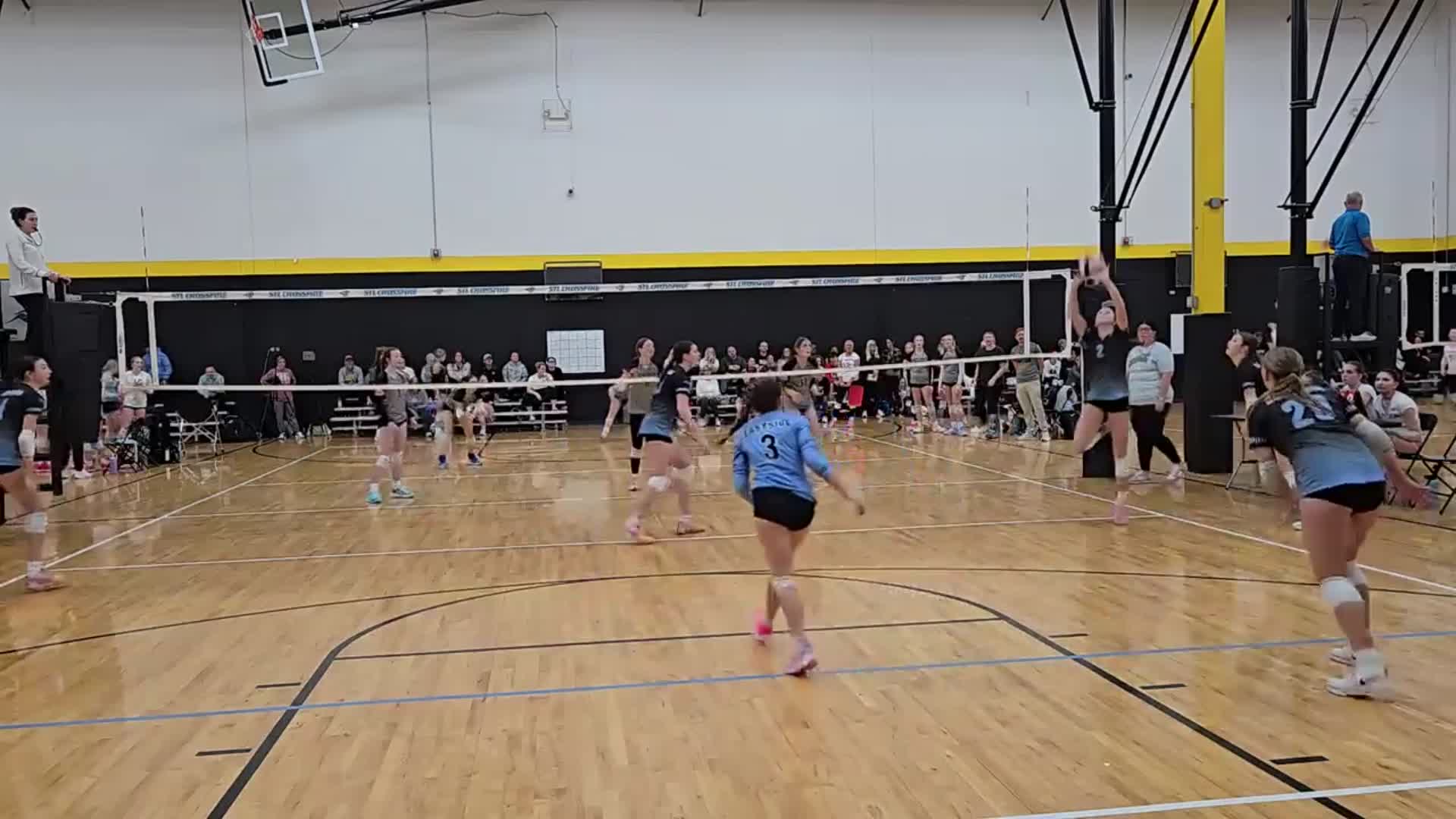 Alpha Omega Volleyball - Addi Woertz highlights - Hudl